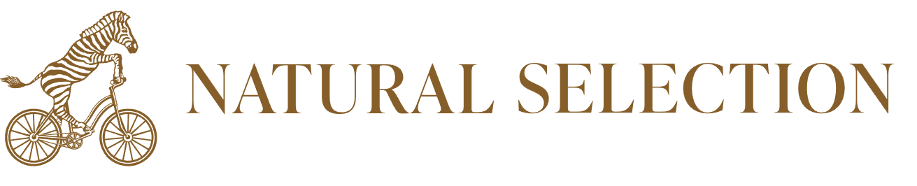 Maun Flood Arrival 2025 | Okavango River Flood Prediction